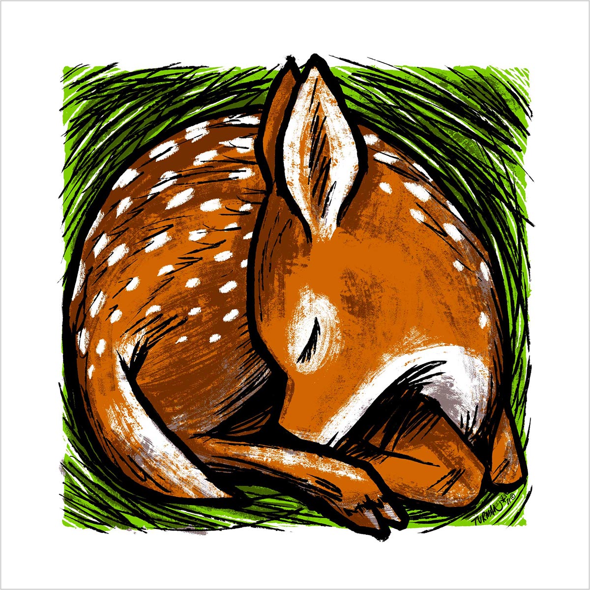 Freckles - Fawn - Fine Art Prints by MN Artist Adam Turman – Turman Artwork Company