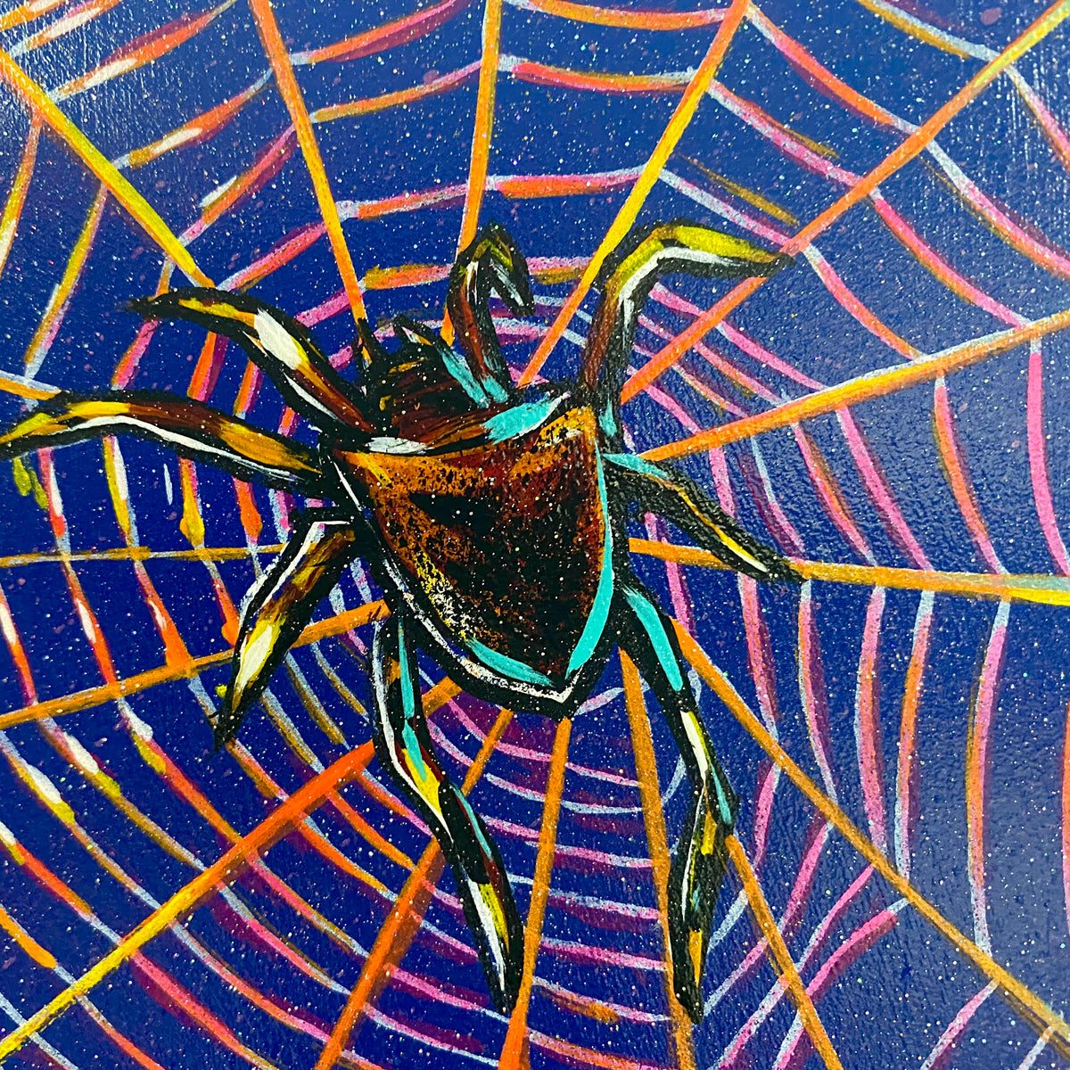 Spiders - Cat-Faced Orb Weaver - Original Painting by MN Artist Adam ...