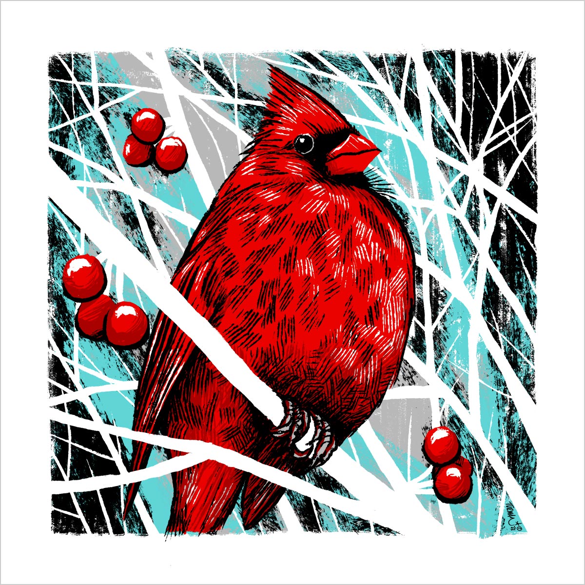 Cardinal Perched with Red Berries - Fine Art Prints 'Red' by Adam ...