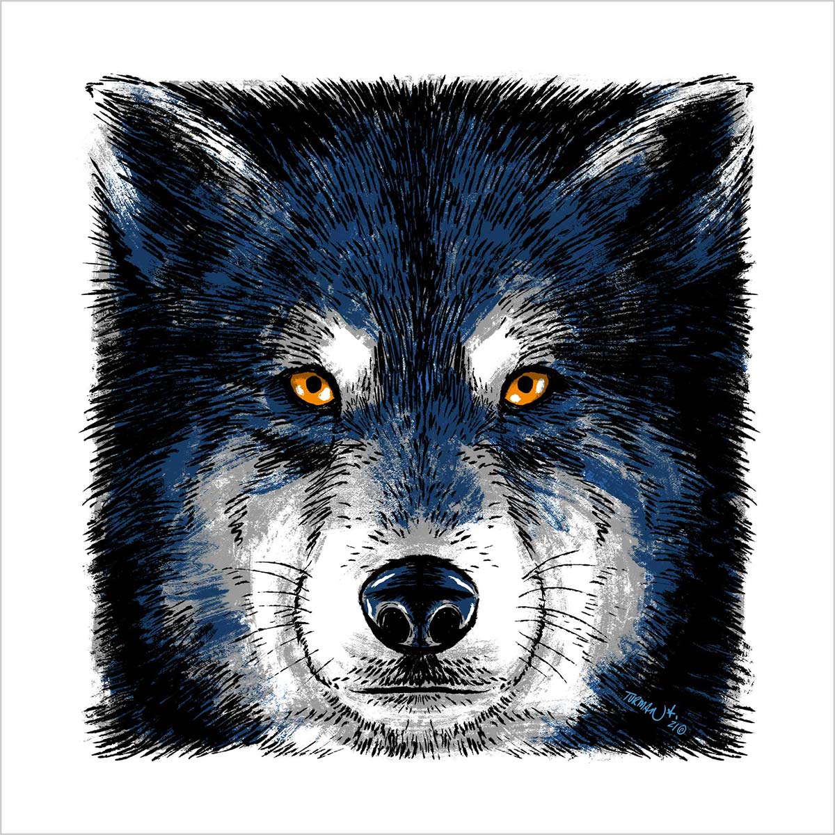 Staring Contest Wolf - Original Screen Print by MN Artist Adam Turman ...