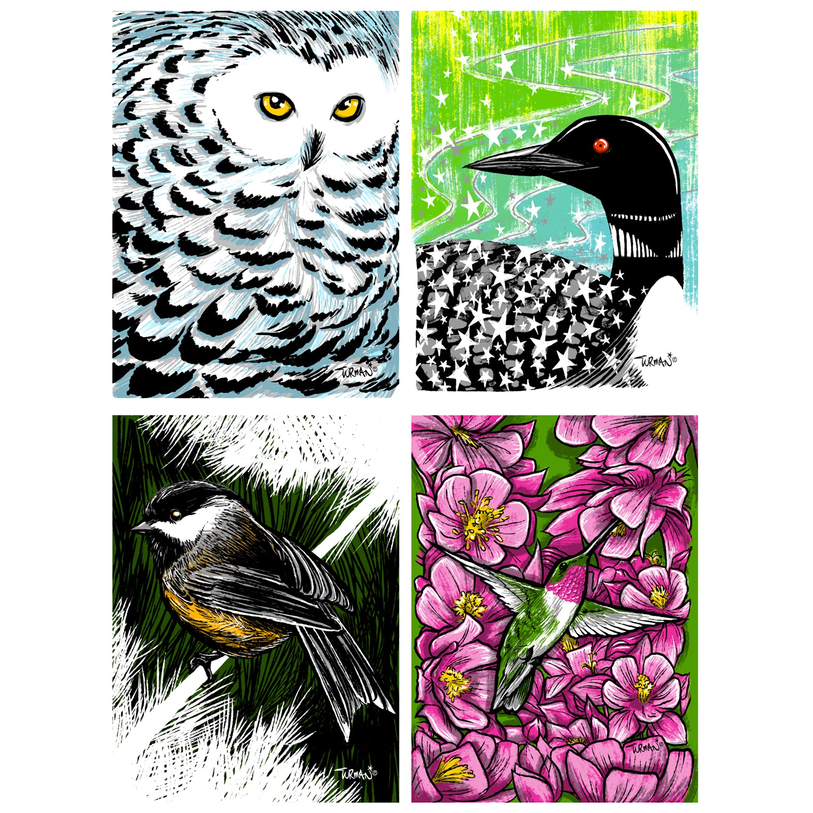 Boxed Notes & Postcards | MN Artist Adam Turman – Turman Artwork Company