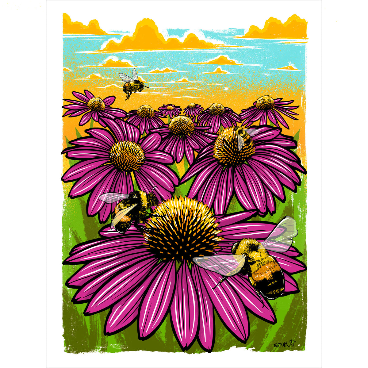 Rusty Patched Bumble Bee - Artwork by Adam Turman – Turman Artwork Company